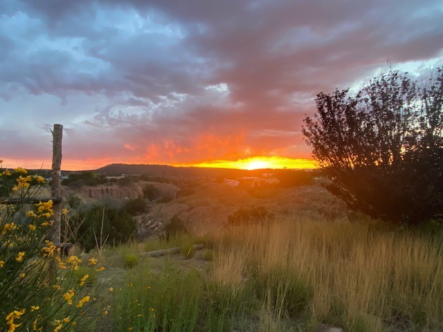 Well Looky There – Hobnob Kitchen